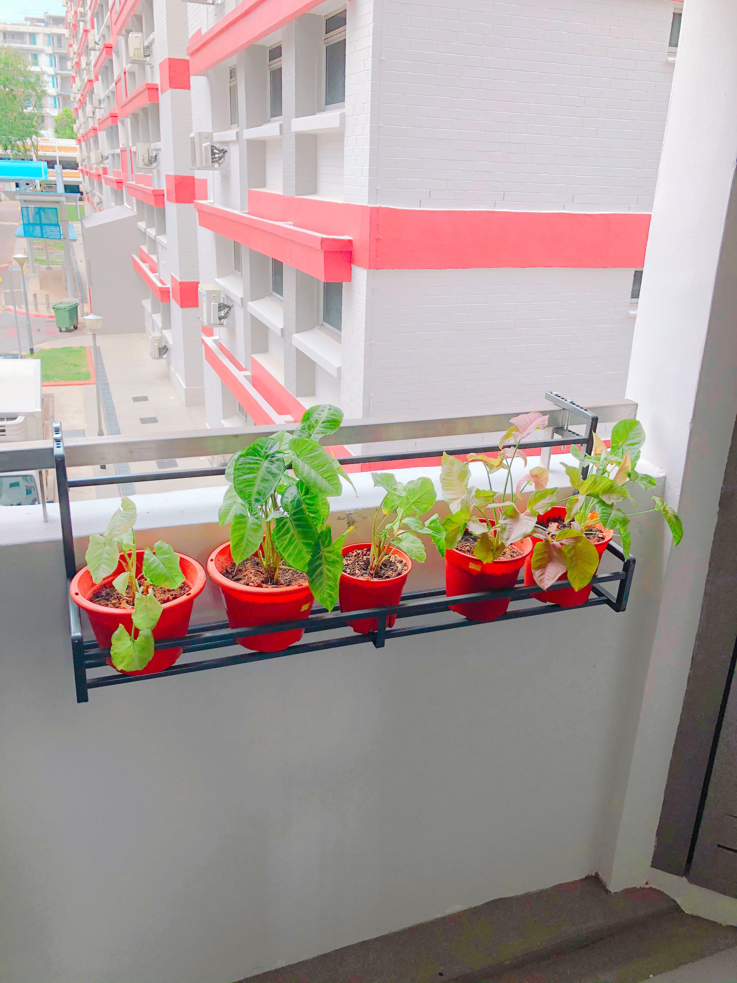 Modern Heavy Duty MIni Standard Flower Plant rack balcony Display shelf ...