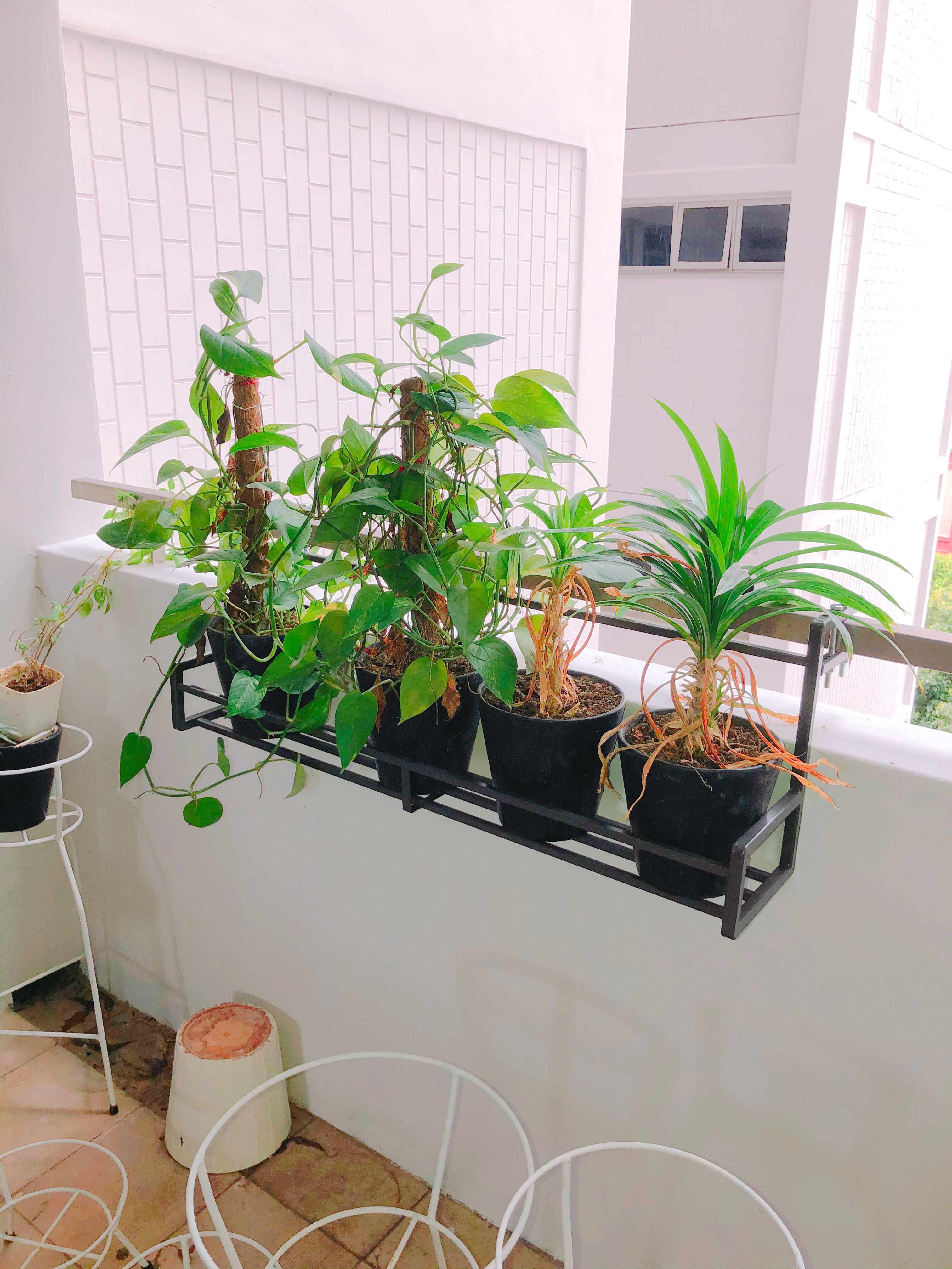 Modern Heavy Duty MIni Standard Flower Plant rack balcony Display shelf ...