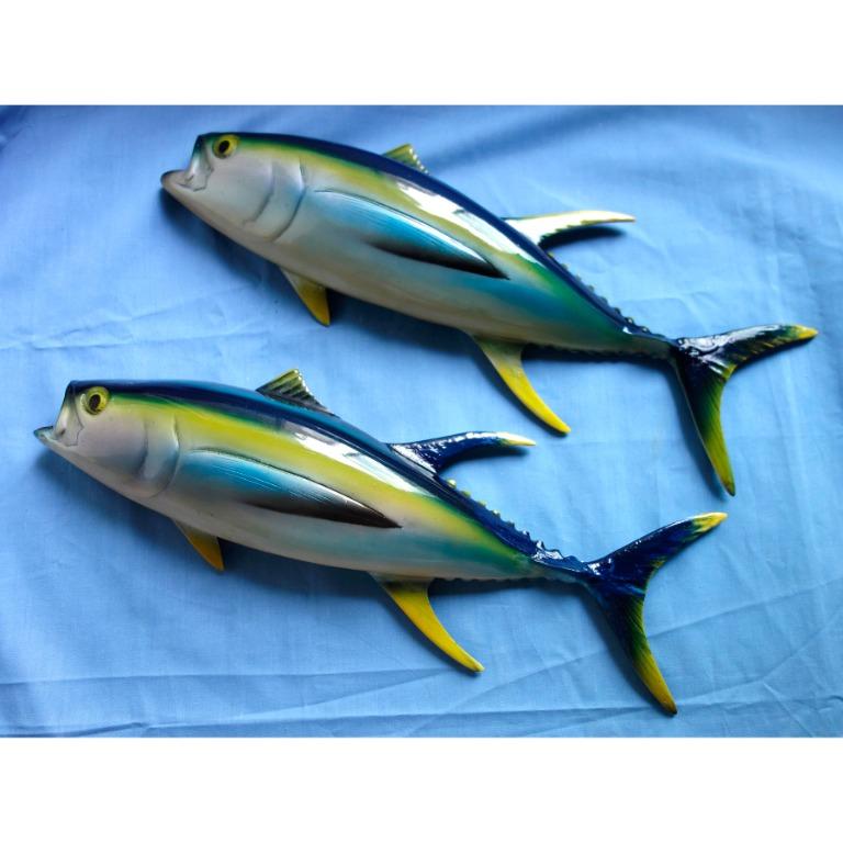 3D Display Plaque - Yellow Fin Tuna, Sports Equipment, Sports & Games ...
