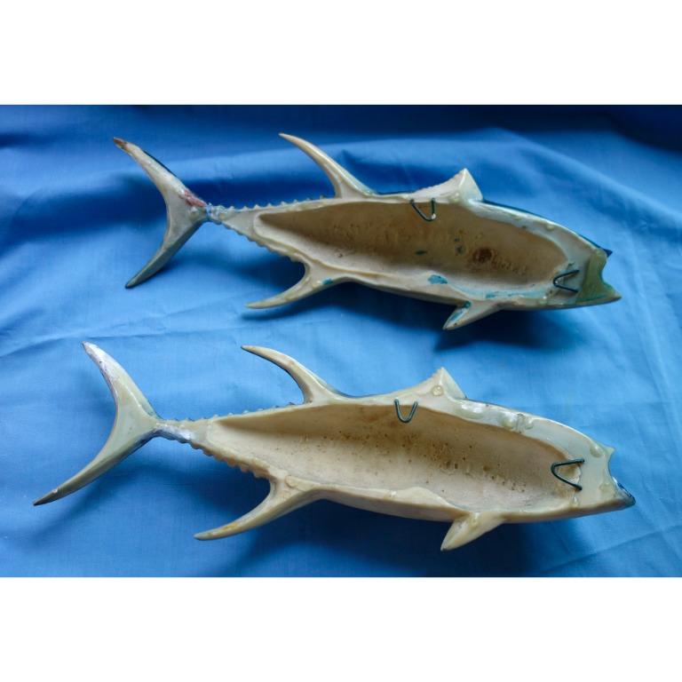 3D Display Plaque - Yellow Fin Tuna, Sports Equipment, Sports & Games ...
