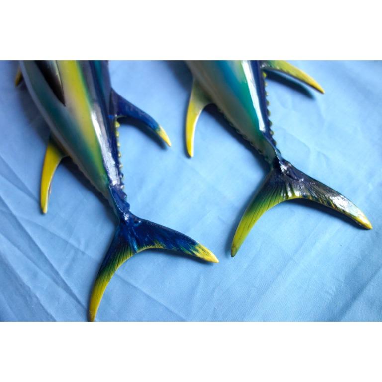 3D Display Plaque - Yellow Fin Tuna, Sports Equipment, Sports & Games ...