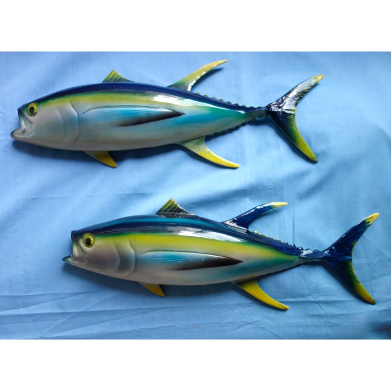 3D Display Plaque - Yellow Fin Tuna, Sports Equipment, Sports & Games ...
