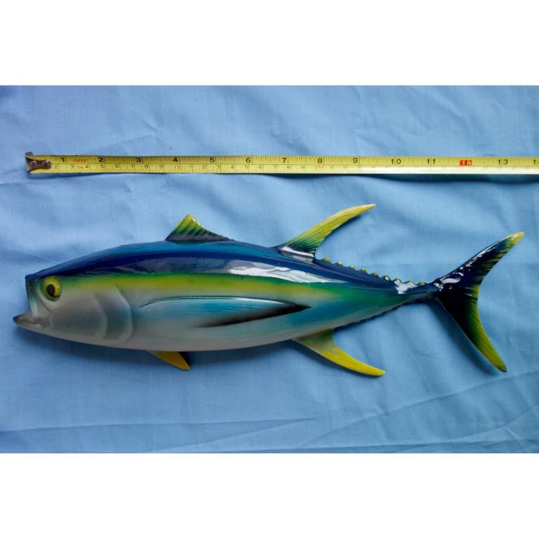 3D Display Plaque - Yellow Fin Tuna, Sports Equipment, Sports & Games ...