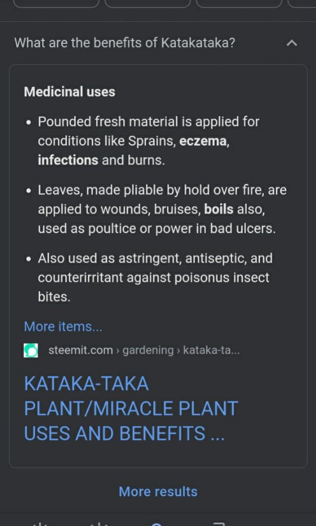 Katakataka miracle plant, Furniture & Home Living, Gardening, Plants ...