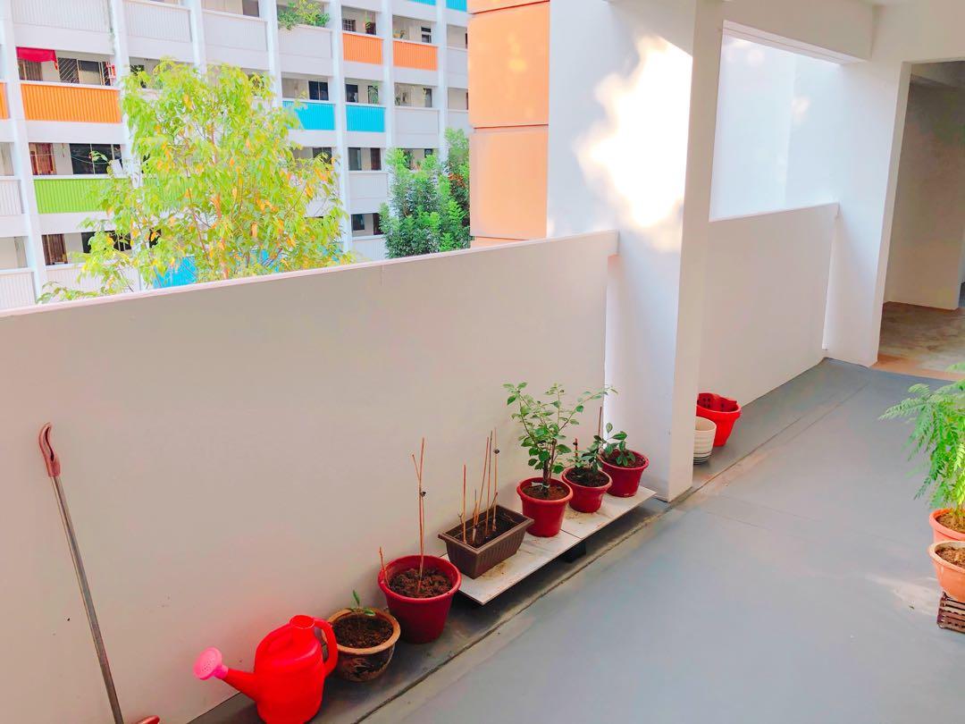 Modern Heavy Duty High Flower Plant Rack Balcony Display Shelf for HDB ...