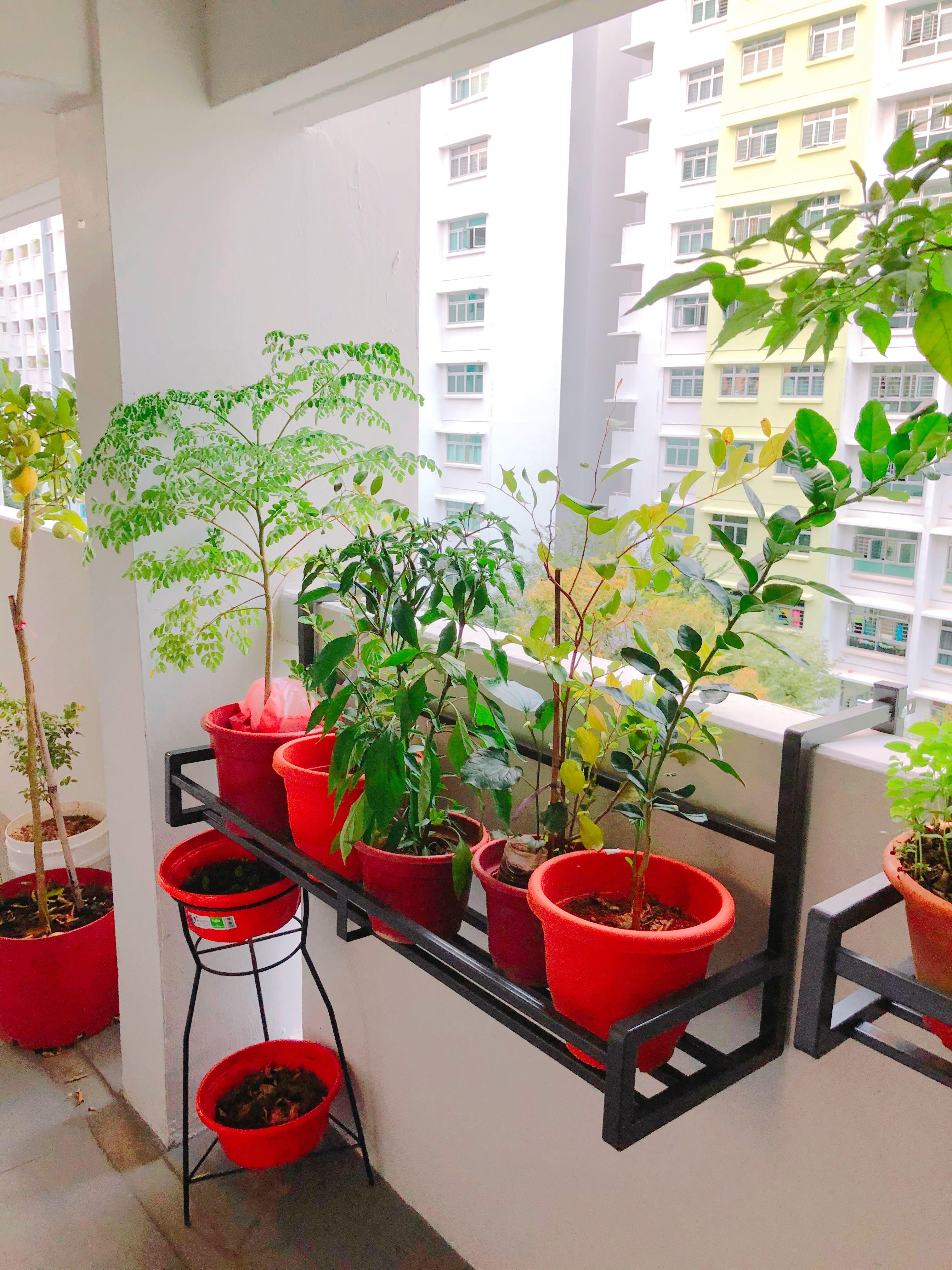 Modern Heavy Duty Standard Flower Plant Rack Balcony Display Shelf for ...