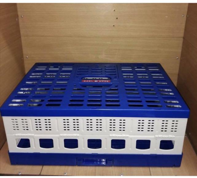 Pigeon Training Box, Pet Supplies, Homes & Other Pet Accessories on ...