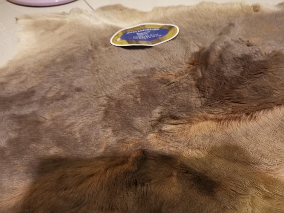 Kangaroo skin, Hobbies & Toys, Collectibles & Memorabilia, Religious ...