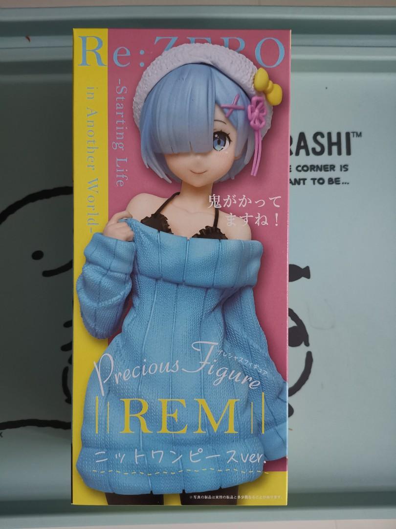 Re: Zero Rem Special Figure - Knit One Piece Ver, Hobbies & Toys, Toys ...