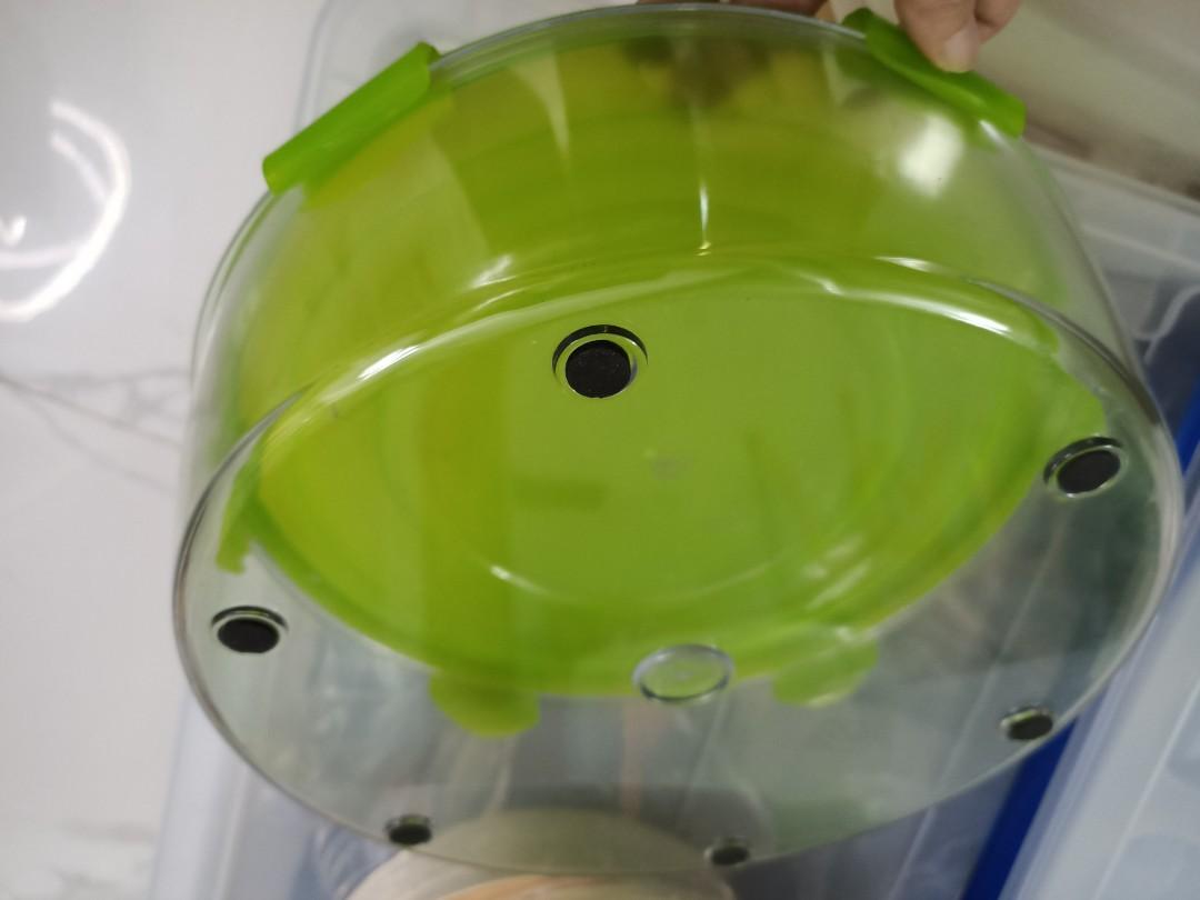 10" cake lock and lock container, Home Appliances, Kitchenware on Carousell