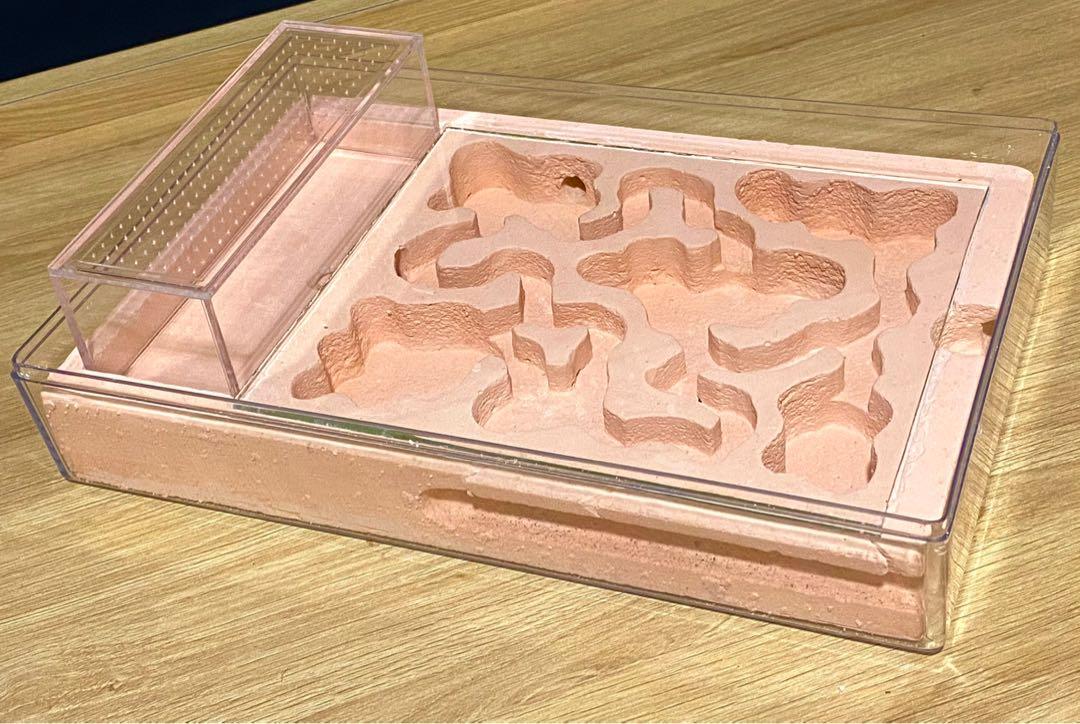 Large Plaster formicarium, Pet Supplies, Homes & Other Pet Accessories ...