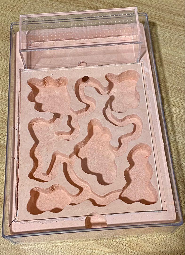 Large Plaster formicarium, Pet Supplies, Homes & Other Pet Accessories ...