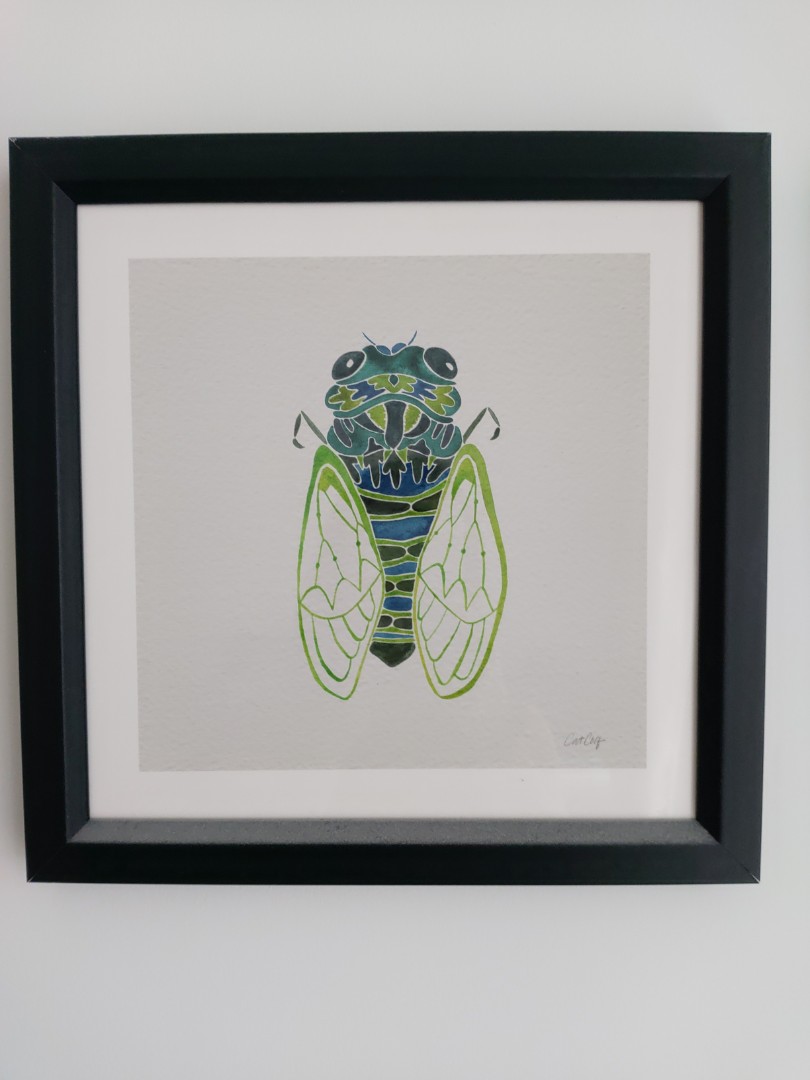 Bug art with frame, Furniture & Home Living, Home Decor, Frames ...