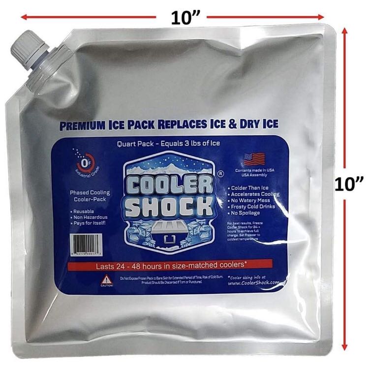 [現貨]美國Cooler Shock Reusable Ice Pack 保冷凝膠劑(兩包裝）, 興趣及遊戲, 旅行, 旅遊 - 旅行必需品及 ...