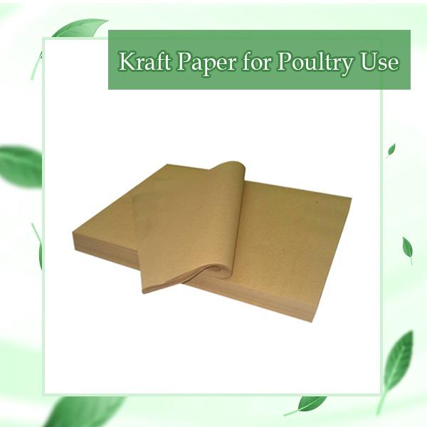 Kraft Paper for Poultry Farm Use, Hobbies & Toys, Stationary & Craft ...