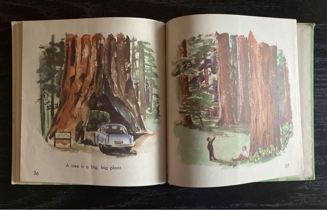 1960 What is A Plant, Gene Darby book, Hobbies & Toys, Books ...