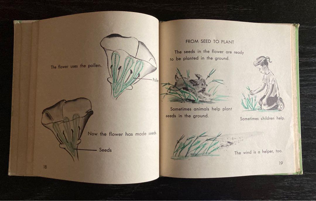 1960 What is A Plant, Gene Darby book, Hobbies & Toys, Books ...
