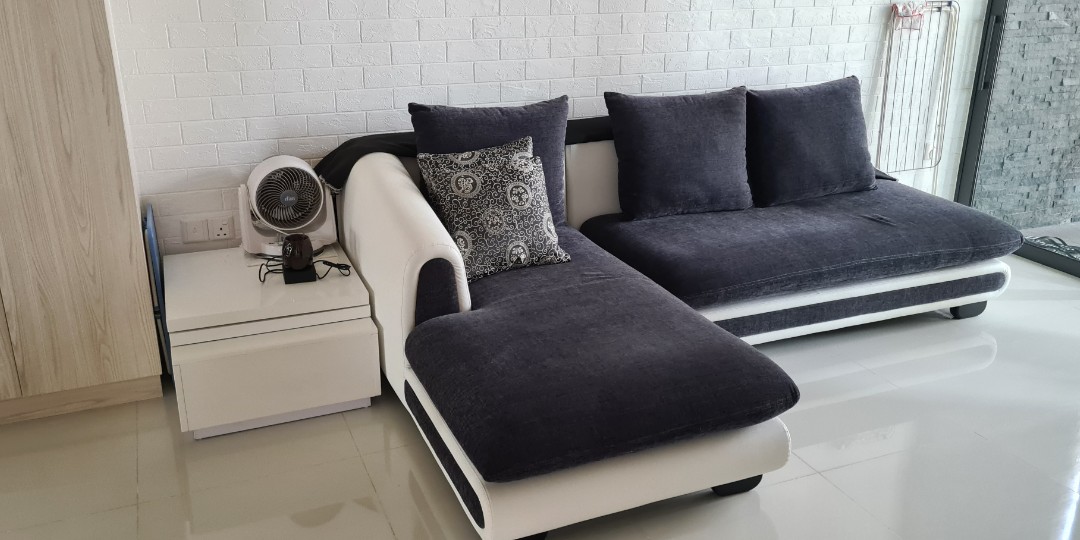 Max Coil Sofa, Furniture & Home Living, Furniture, Sofas on Carousell