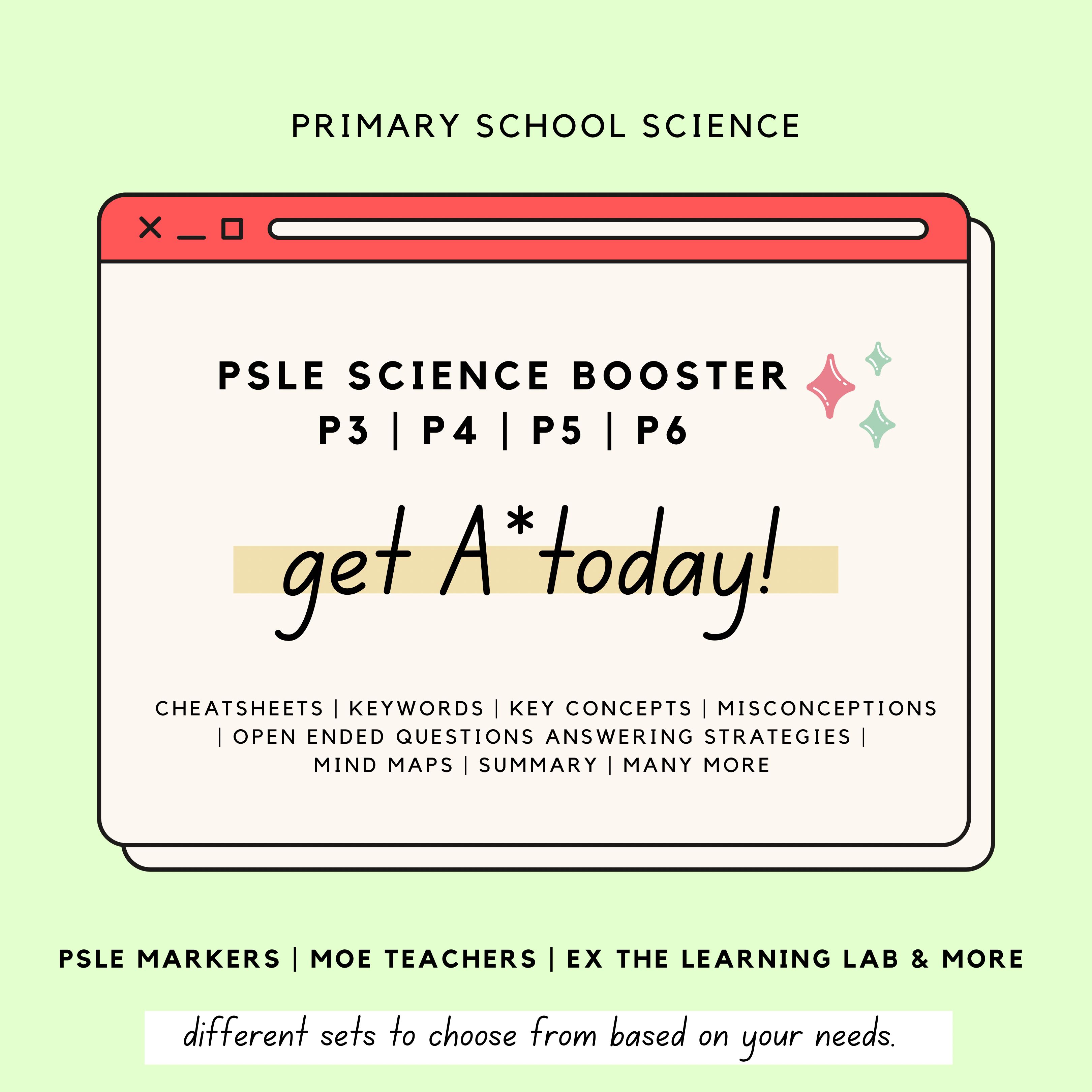 [2023 PSLE Preparation] 22 DEC UPDATED : Improvised Summary With Past ...