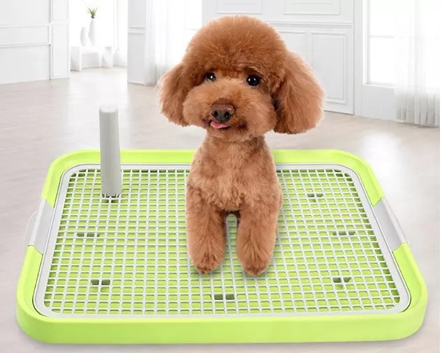 Portable dog/ cat toilet pee tray urinal grid, Pet Supplies, Homes ...