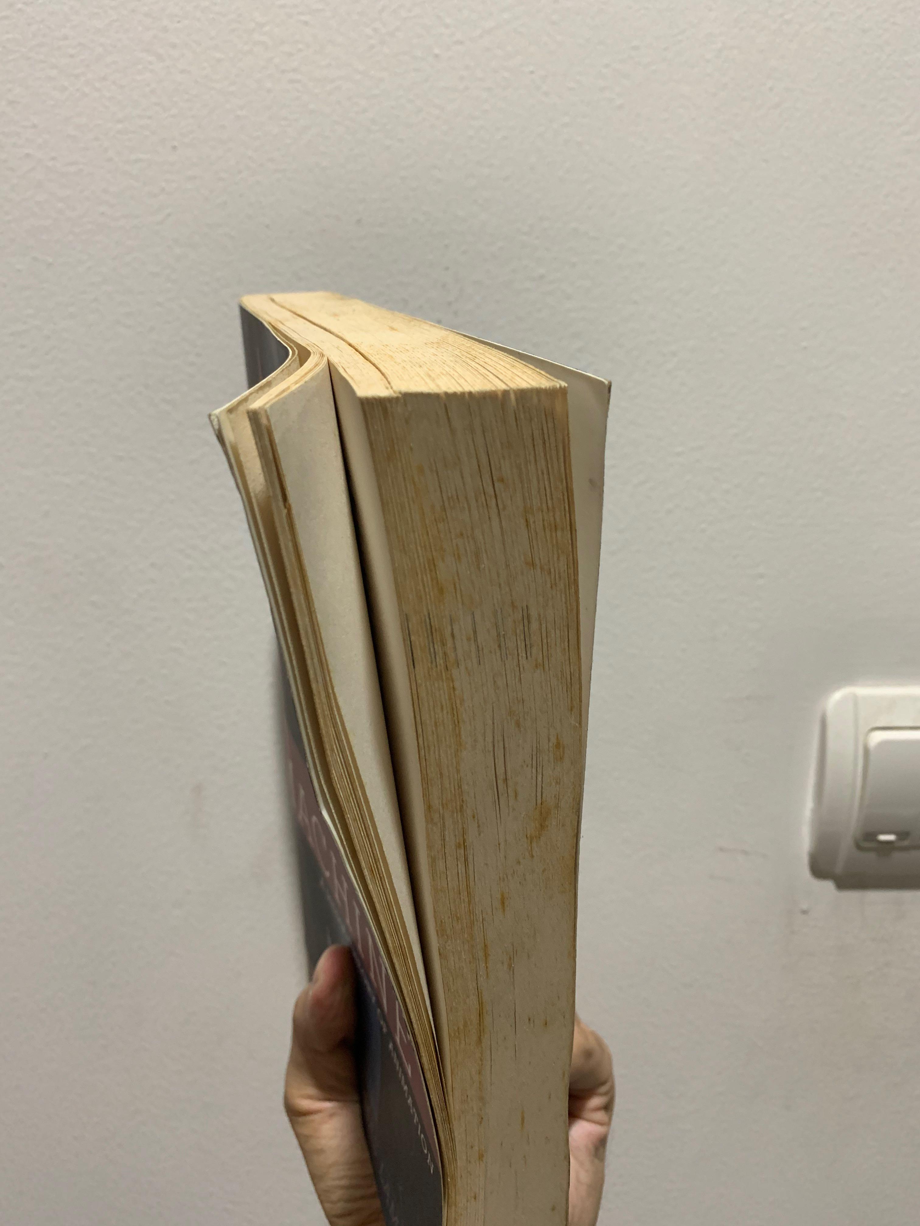 Thomas Lamarre The Anime Machine buku english, Buku & Alat Tulis, Buku ...