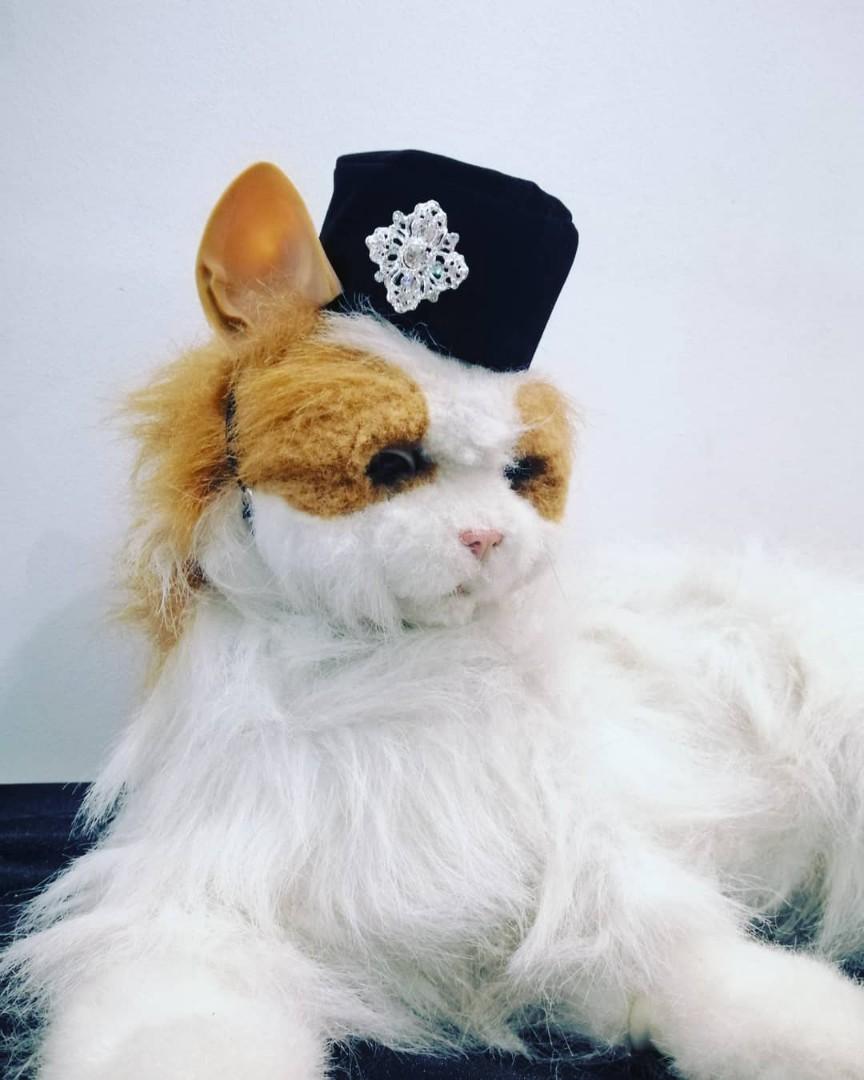 Cat Songkok and tanjak, Pet Supplies, Health & Grooming on Carousell