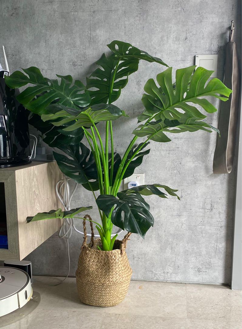 Fake plant (1.2m), Furniture & Home Living, Home Decor, Artificial ...