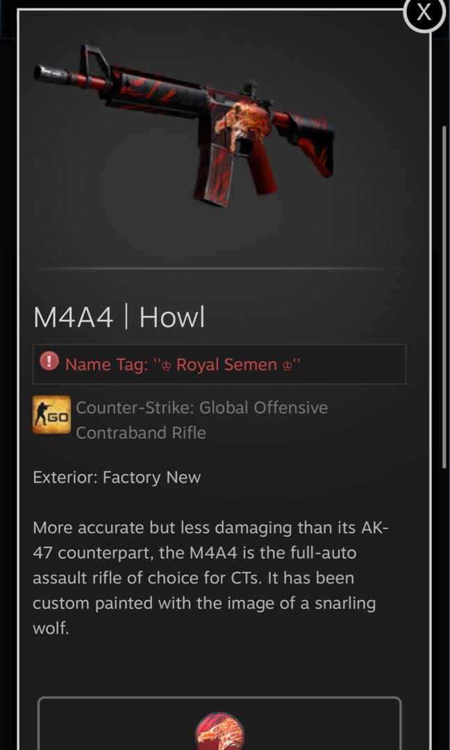 M4A4 Howl FN CSGO, Video Gaming, Gaming Accessories, Game Gift Cards ...