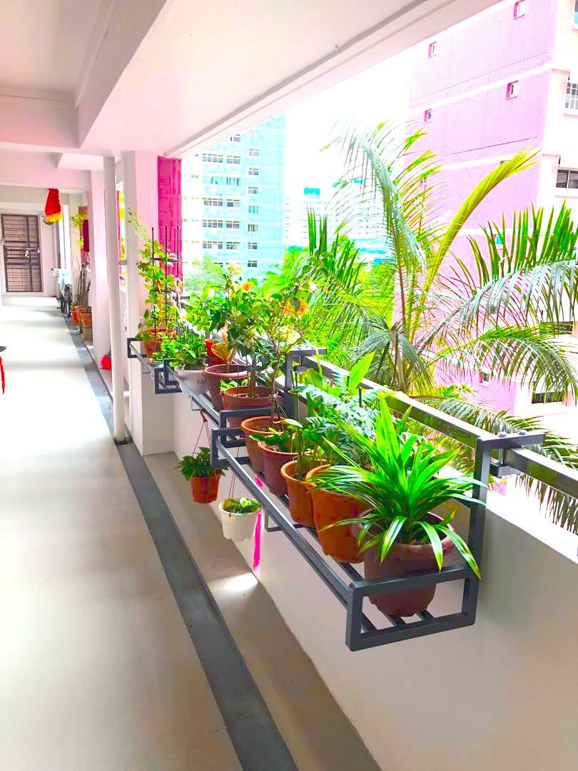 Modern Heavy Duty Clamp type Flower Plant Rack for HDB corridors ...