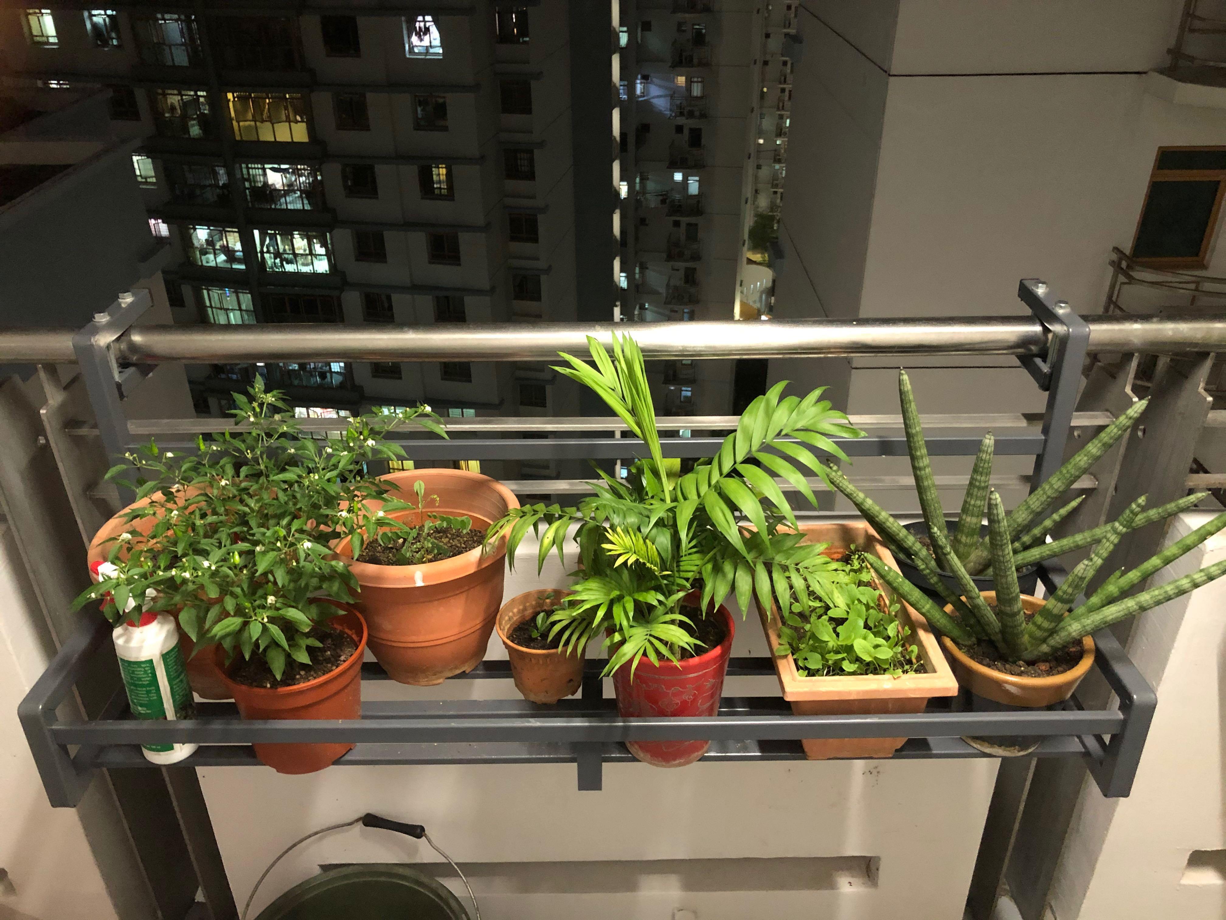 Modern Heavy Duty Clamp type Flower Plant Rack for HDB corridors ...