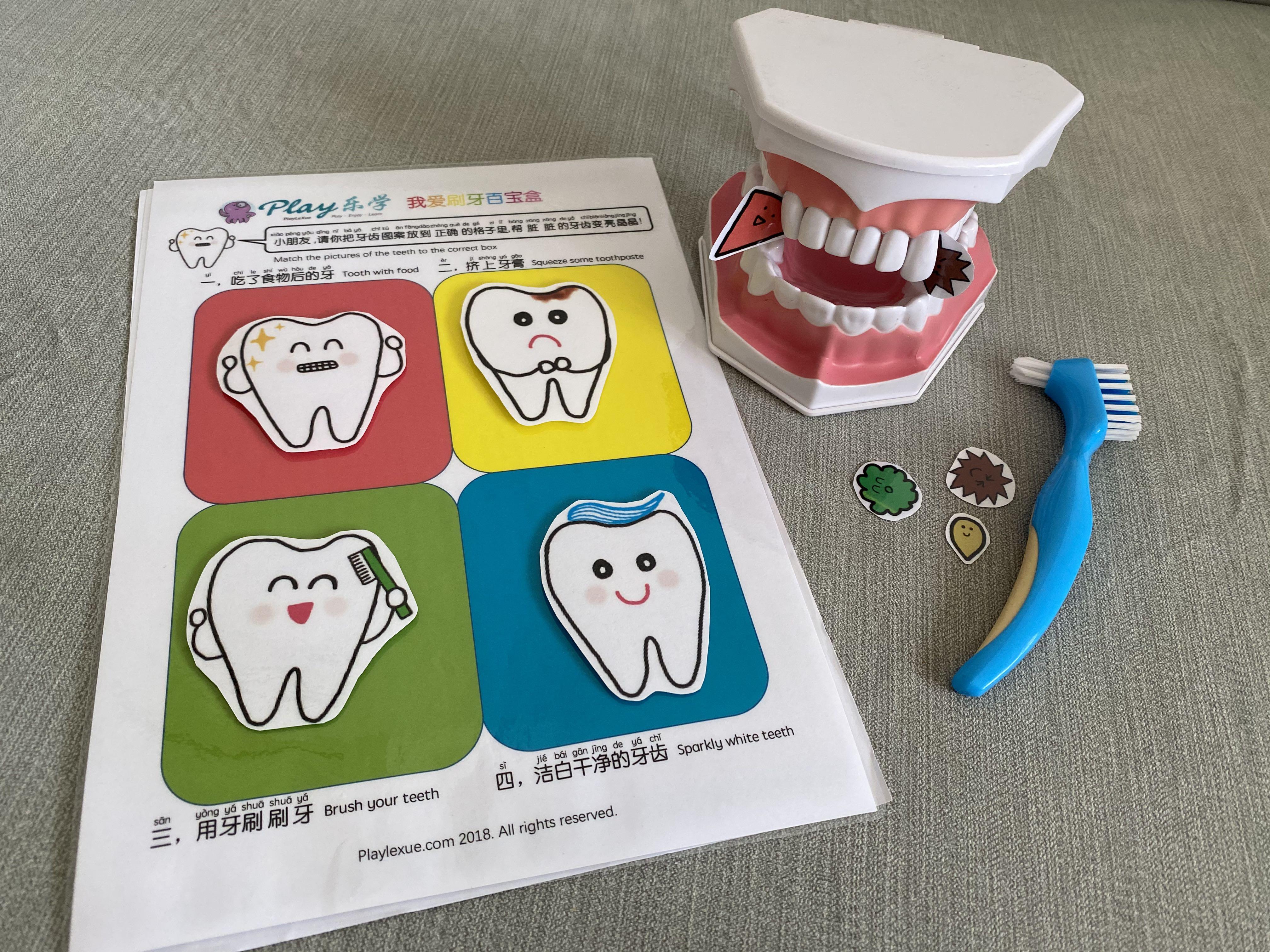 Giant Teeth Model - Teach Brushing, Babies & Kids, Nursing & Feeding ...