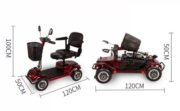 NEW with Full year Warranty, Powerful new 350W 36V Electric Car Buggy ...