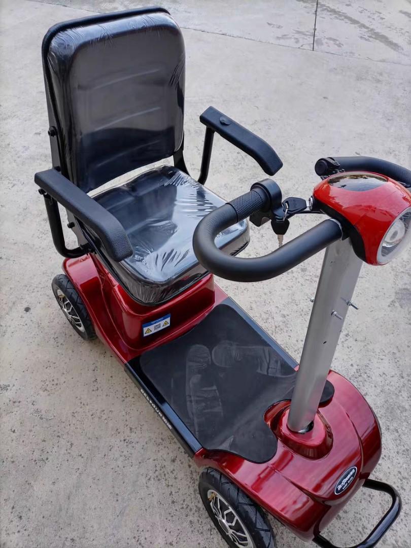 NEW with Full year Warranty, Powerful new 350W 36V Electric Car Buggy ...