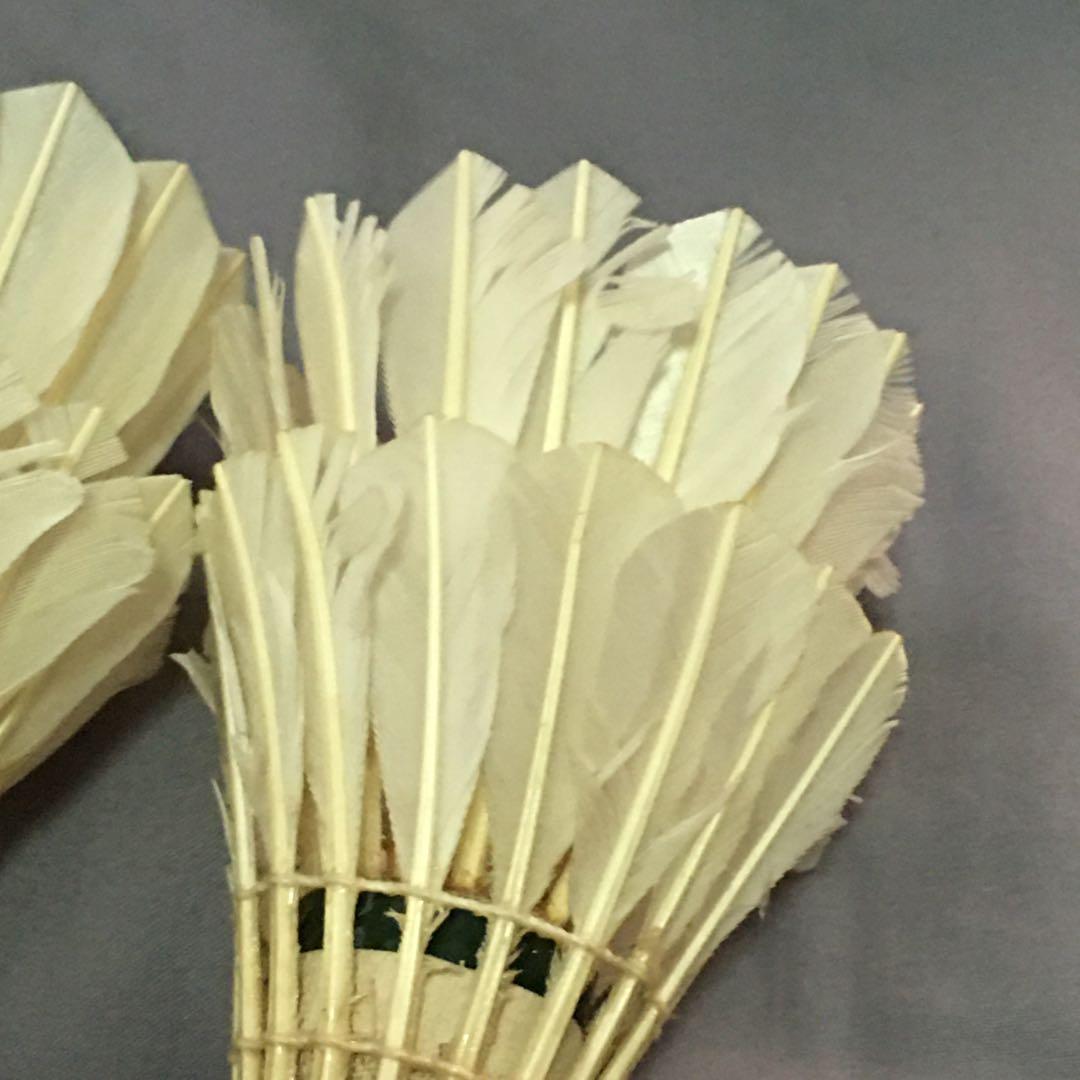 Vintage Pioneer Badminton shuttlecock, Sports Equipment, Sports & Games ...