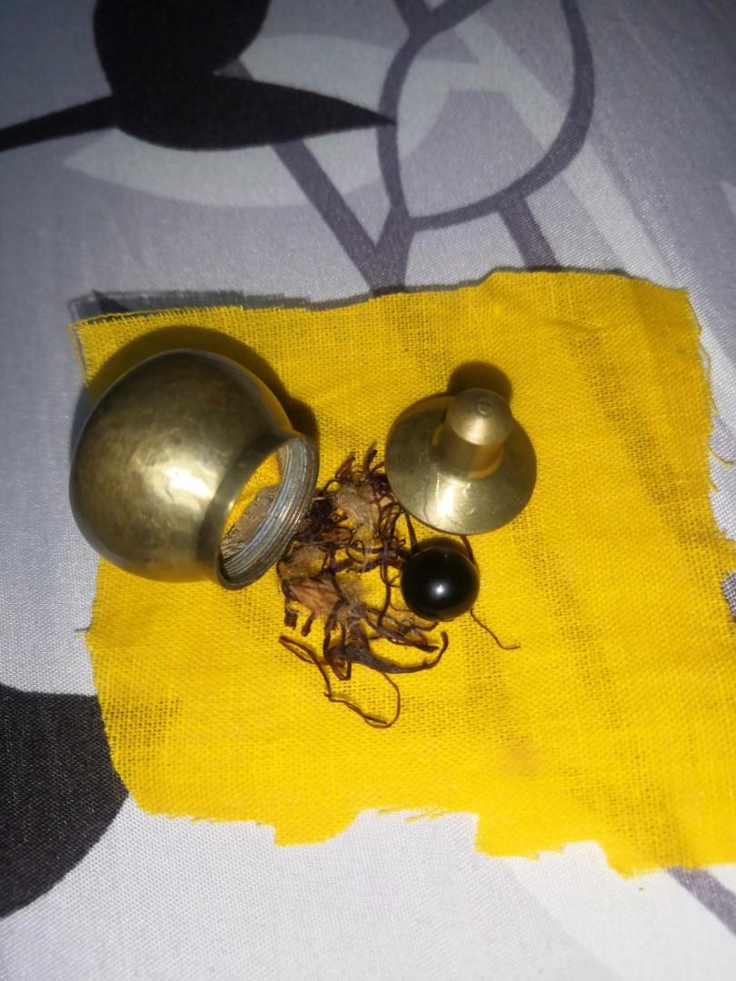 King centipede black pearl@Geliga raja lioan hitam kalimantan, Hobbies ...