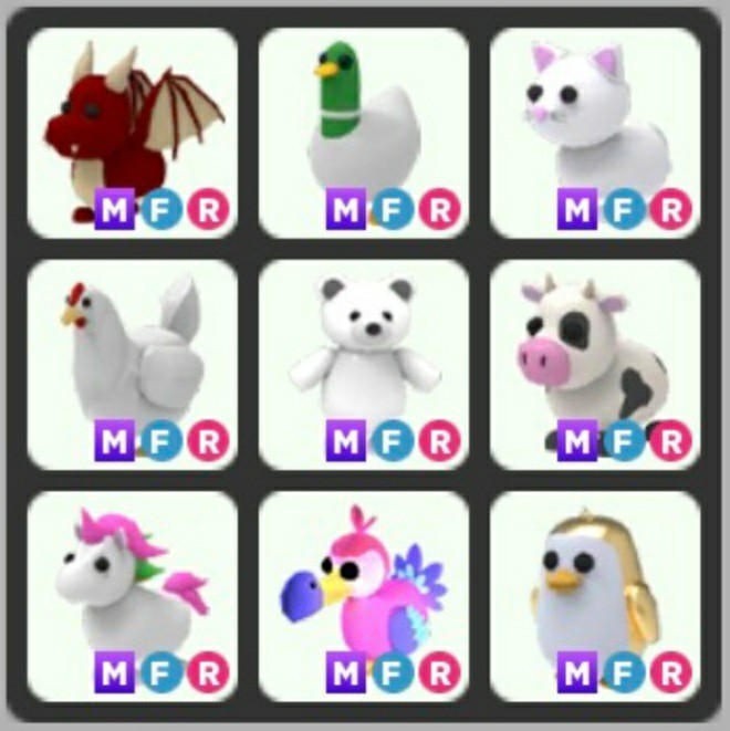 [MFR] Golden Penguin Dodo Chicken Cow Adopt me pet Roblox, Video Gaming ...