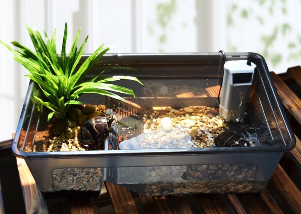 New Turtle tank or tub consist of 3 sizes. 30x23x14cm(M) , 37x28x16cm(L ...