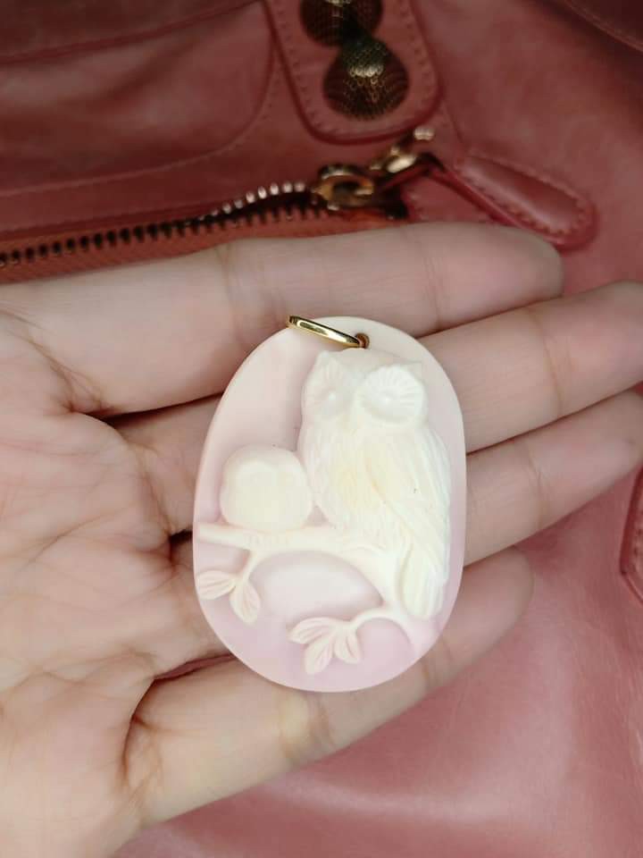 Rare Lucky Shell Cameo Mother and Child Owl, Women's Fashion, Jewelry ...