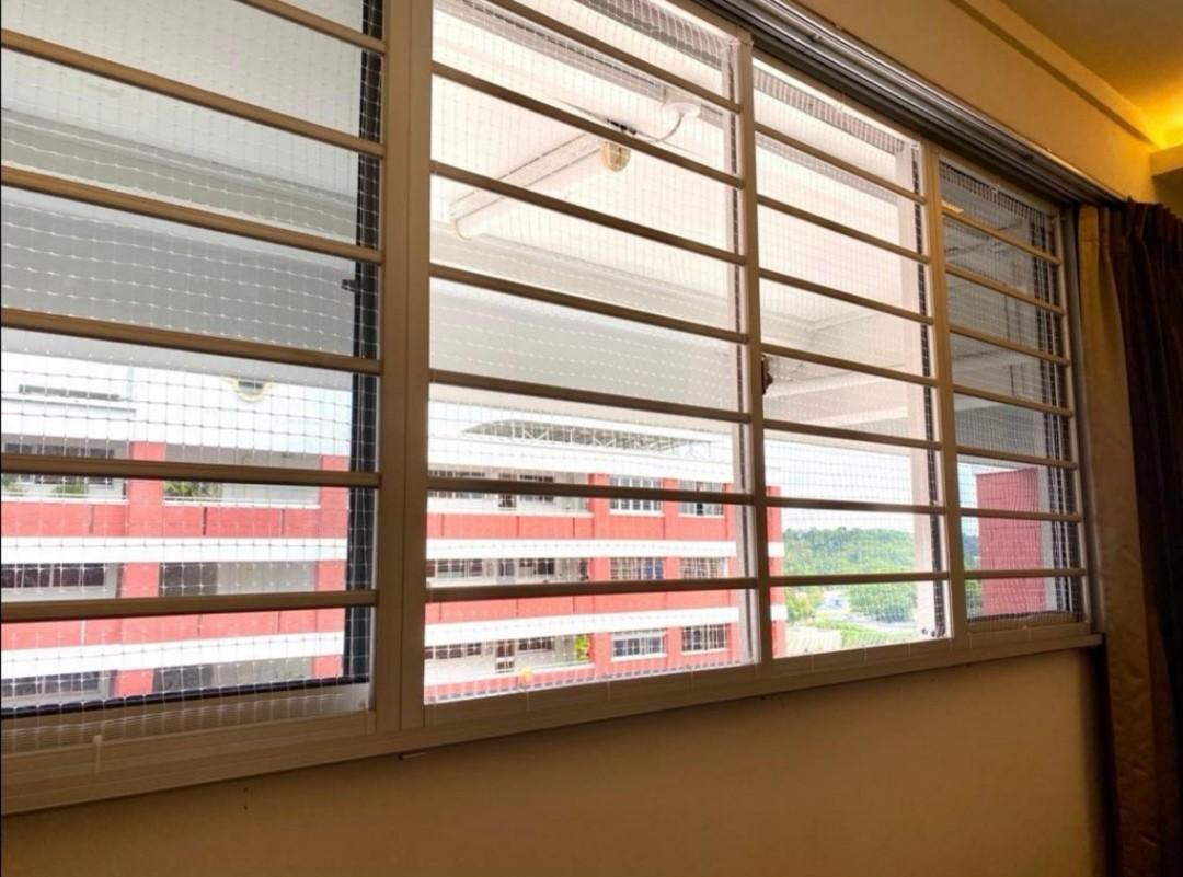 1M x 1M Window Transparent Cat Mesh, Pet Supplies, Homes & Other Pet ...