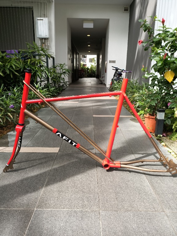 (SALE) Custom Steel Mini Velo, Sports Equipment, Bicycles & Parts ...