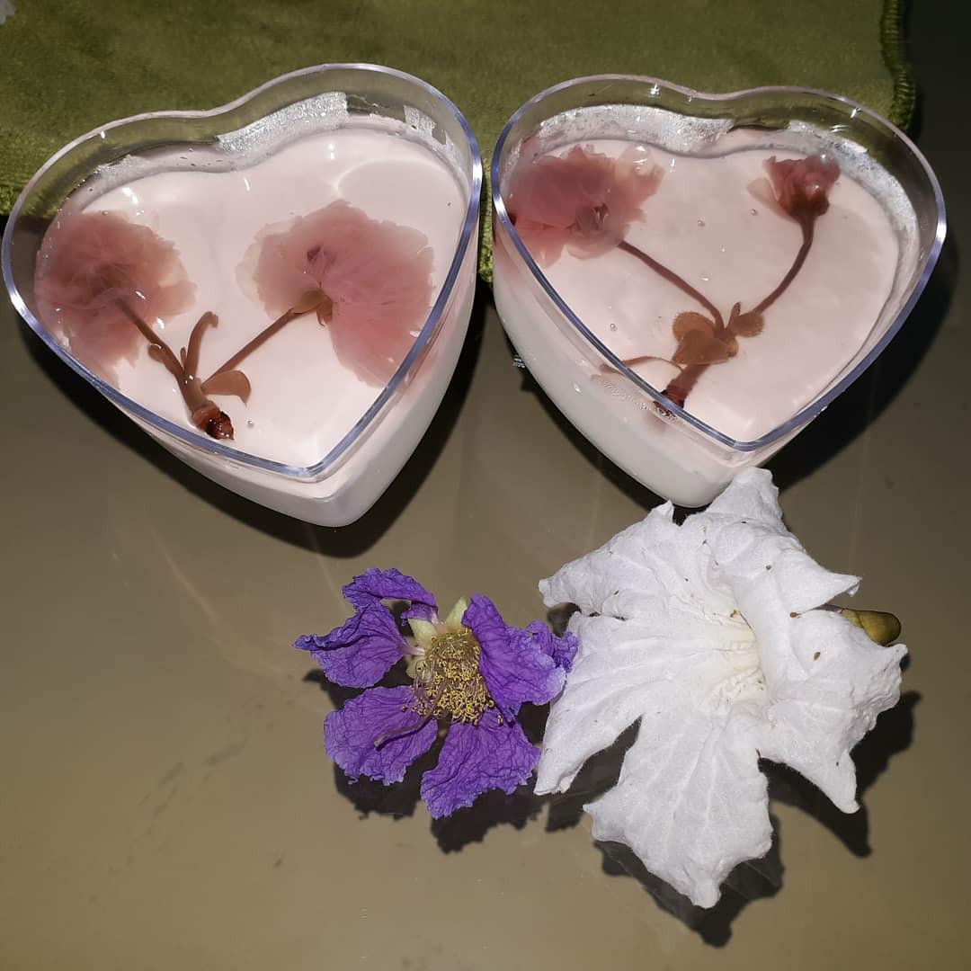 Sakura Milk Pudding/Passion Fruit Milk Pudding/Blueberry Muffins Bakery ...