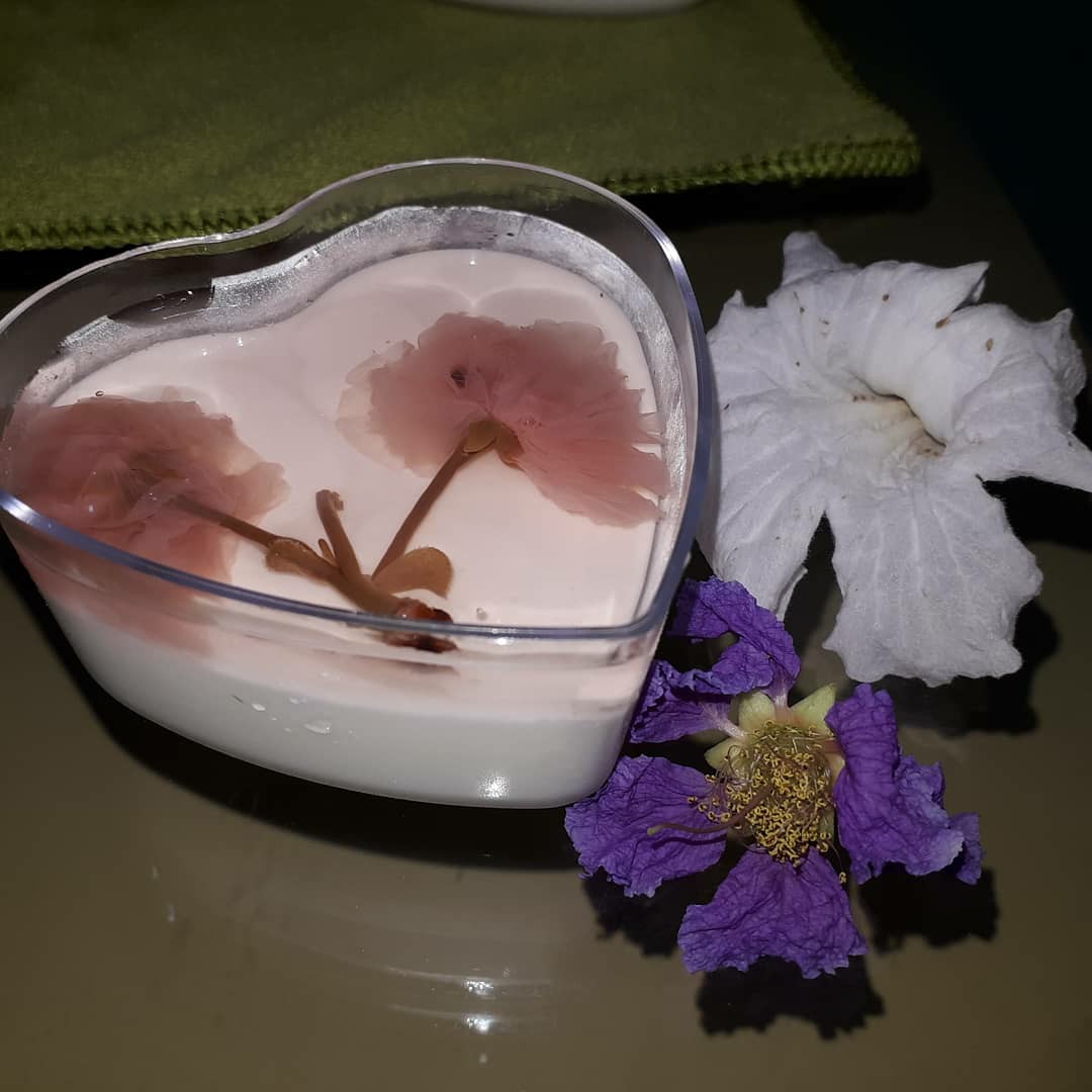 Sakura Milk Pudding/Passion Fruit Milk Pudding/Blueberry Muffins Bakery ...