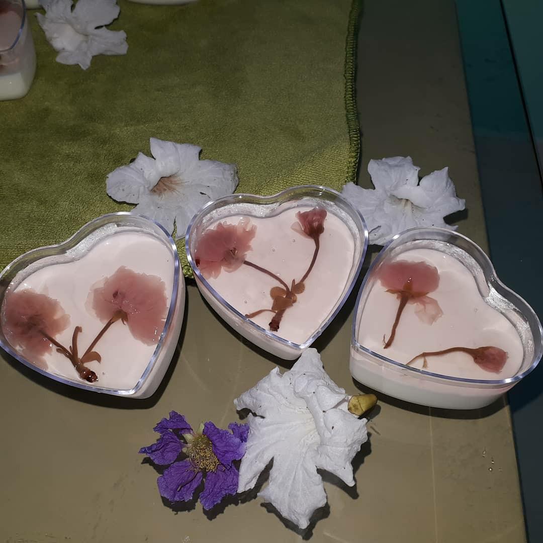 Sakura Milk Pudding/Passion Fruit Milk Pudding/Blueberry Muffins Bakery ...