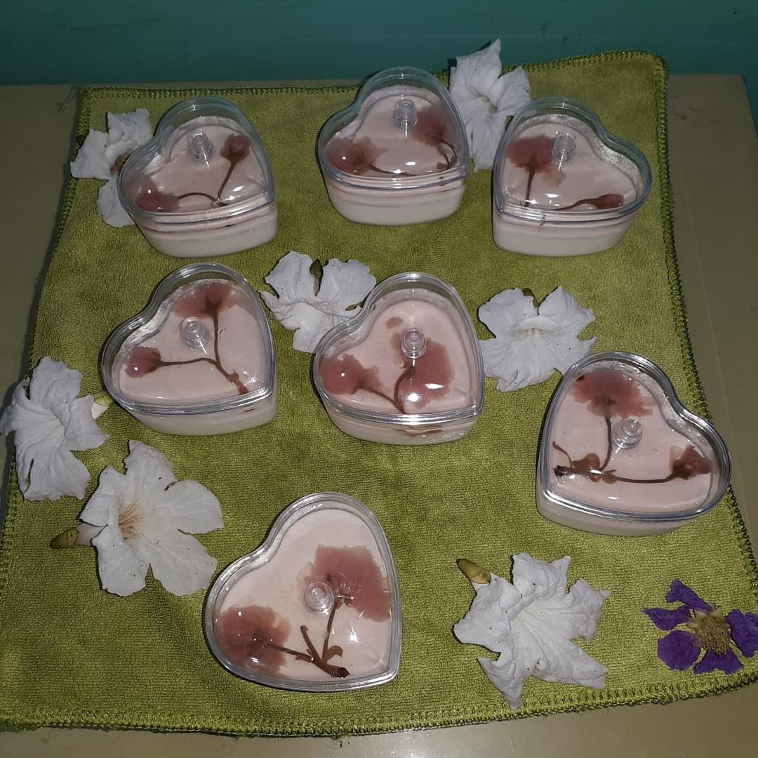 Sakura Milk Pudding/Passion Fruit Milk Pudding/Blueberry Muffins Bakery ...
