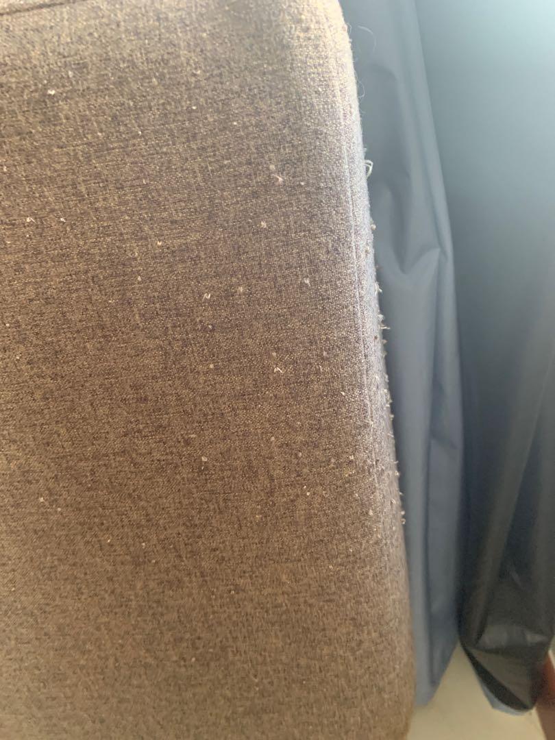 Cellini Apollo L-shape sofa, Furniture & Home Living, Furniture, Sofas ...