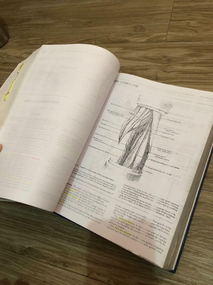 Gross Anatomy: Basmajian, Hobbies & Toys, Books & Magazines, Textbooks ...