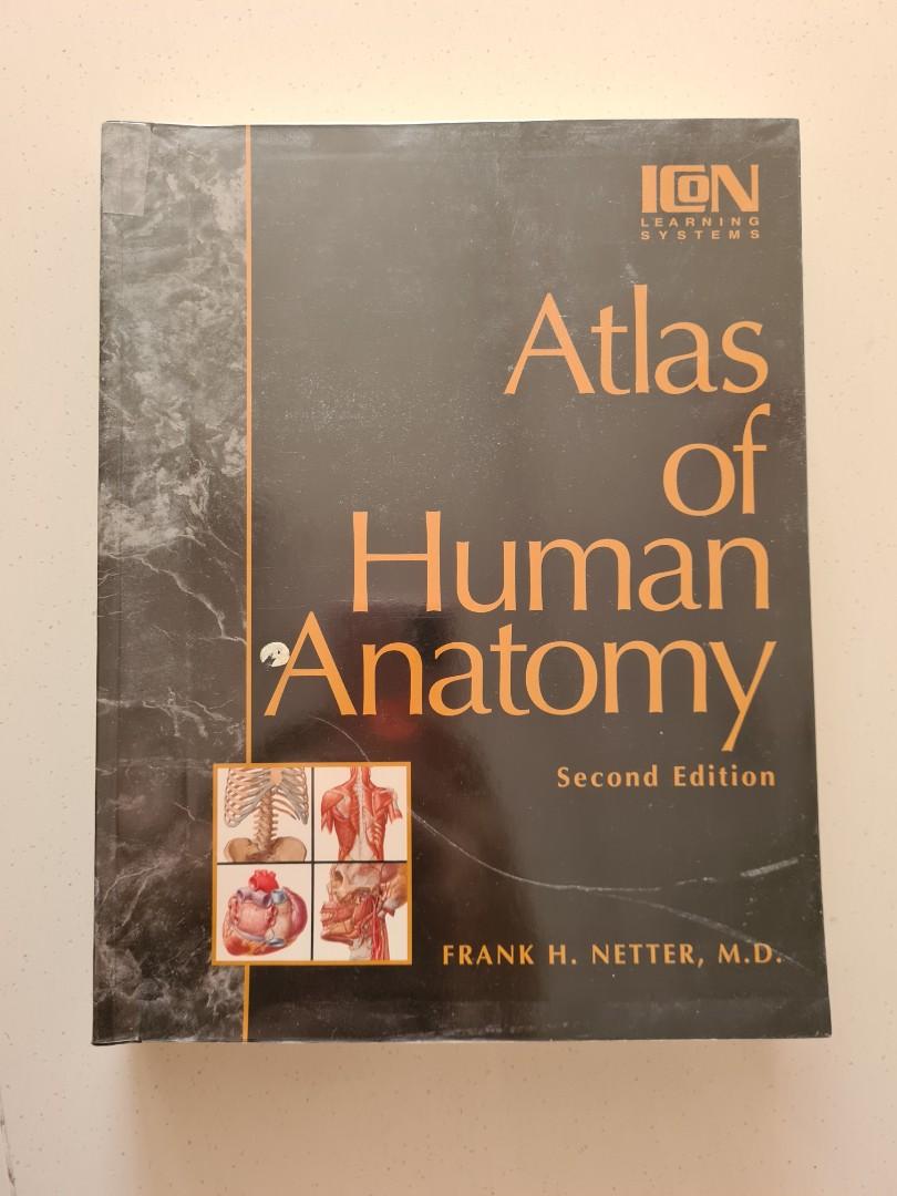 Netters atlas of human anatomy 2nd edition, Books & Stationery ...