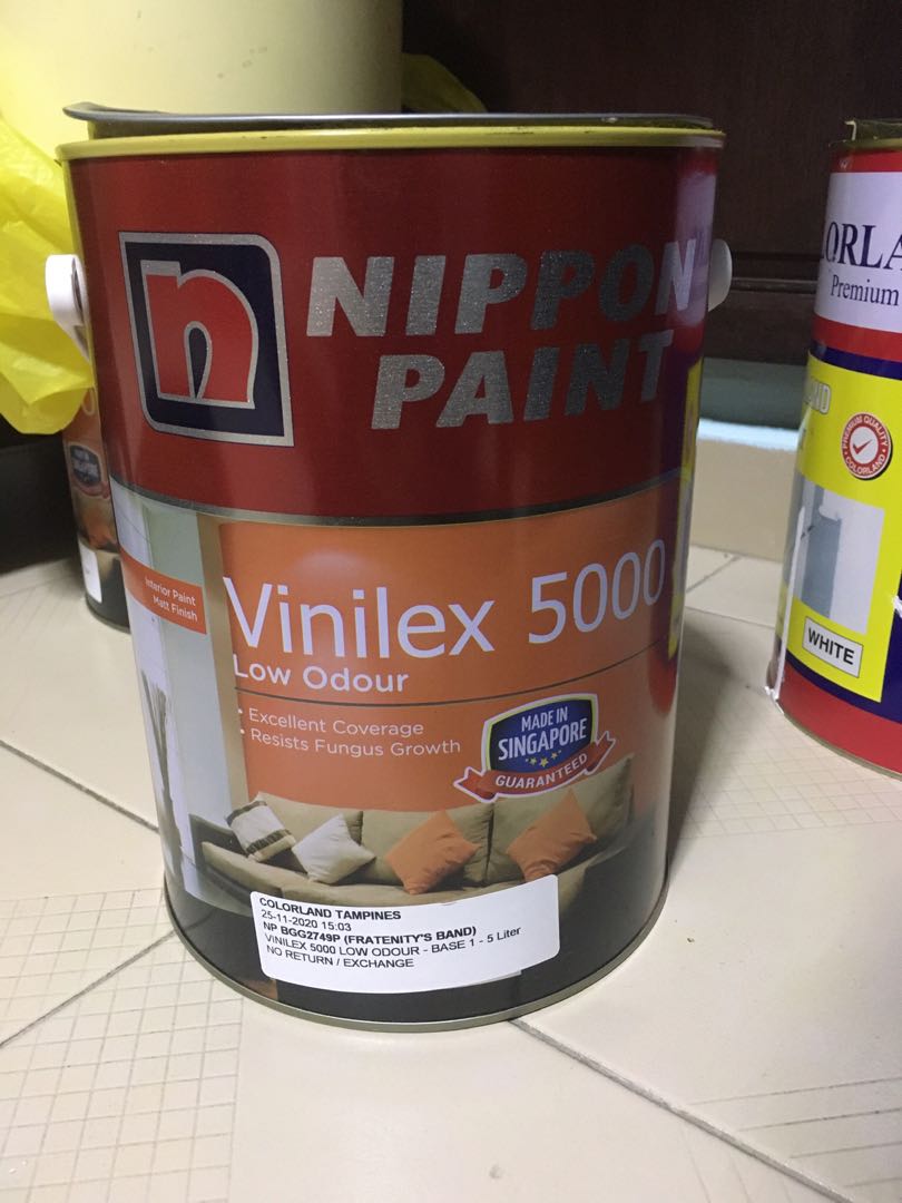 Nippon Paint Vinilex 5000 blue green color 5L, Everything Else on Carousell