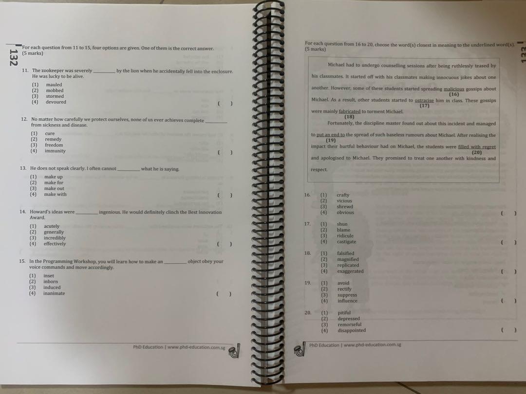 PSLE English Exam Package with Solution Free Past PLSE Questions ...