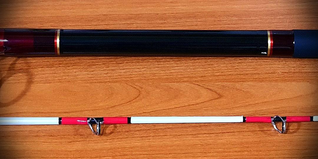 ZZIPLEX PROFILE GT Beach Fishing Rod, Sports Equipment, Fishing on ...